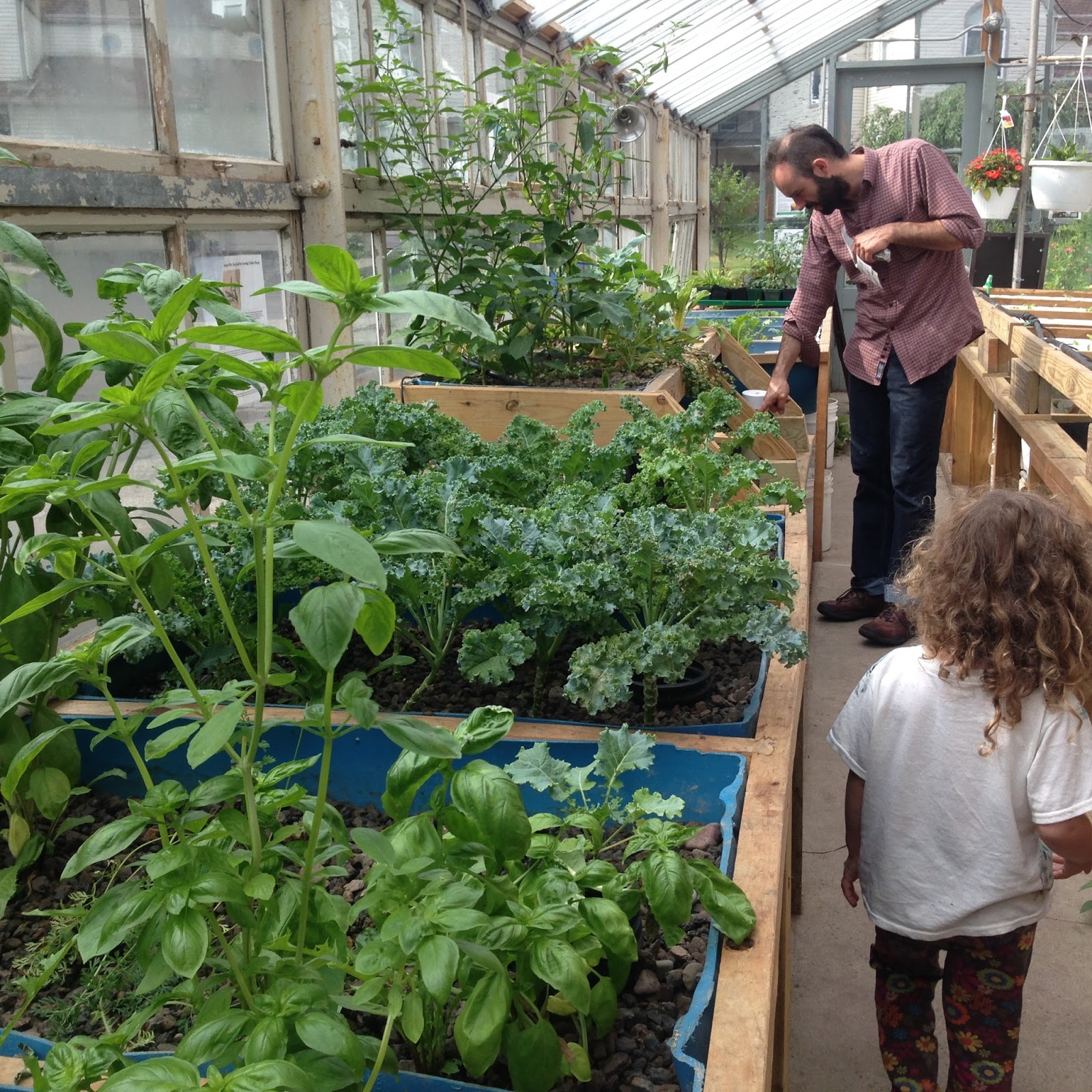 Possibilitarian Garden: What is Permaculture, Anyway?