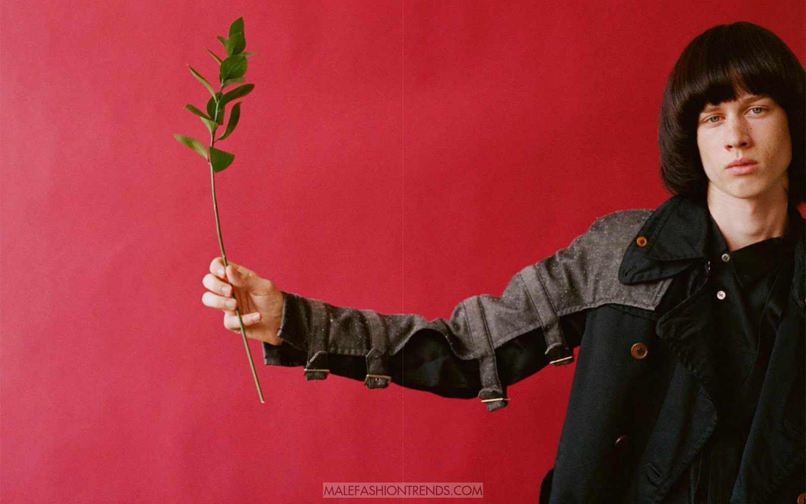 Harry Smith por Clement Pascal para Visual Tales Magazine