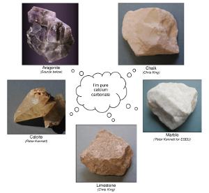 Earth Learning Idea: Calcium carbonate misconceptions