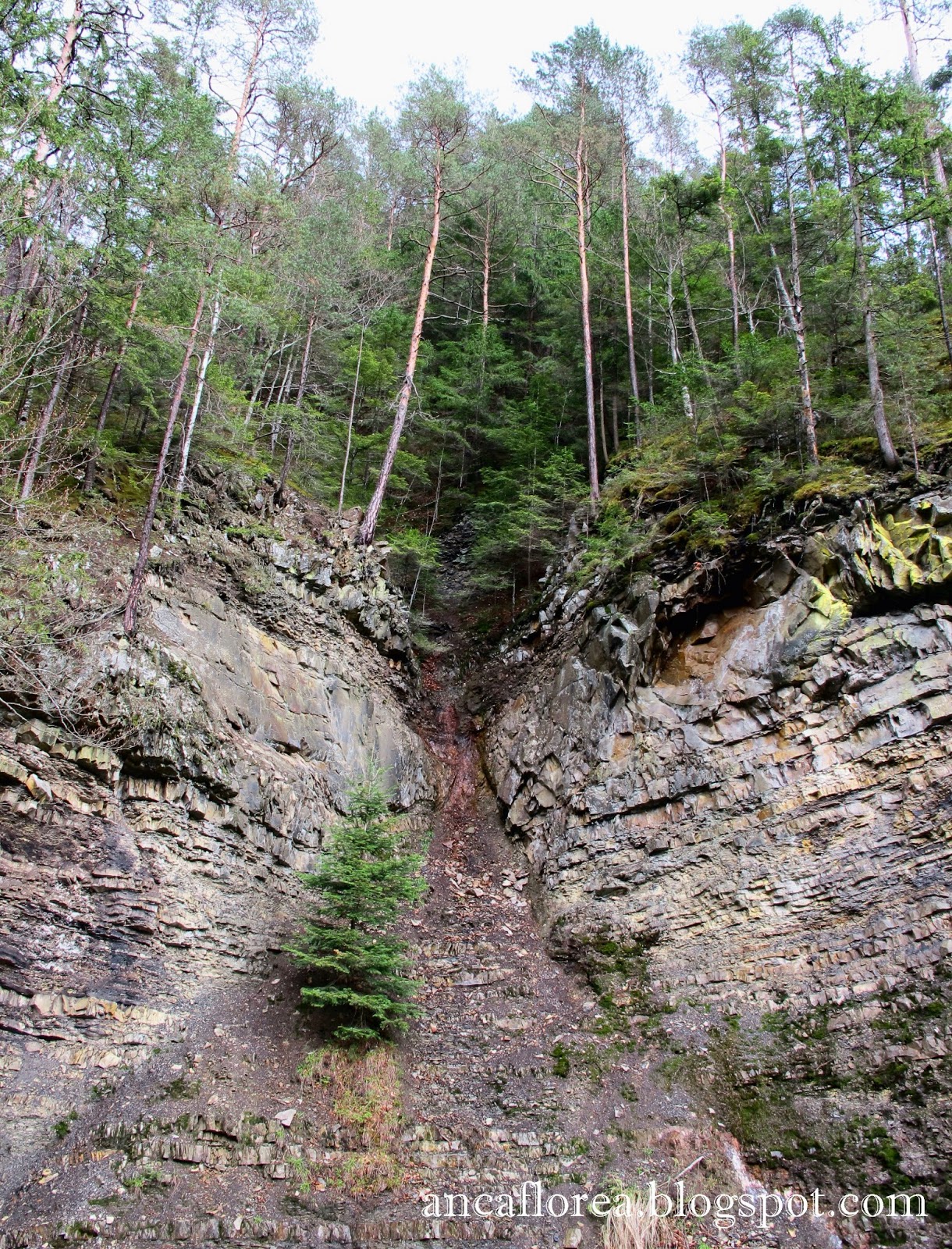 destinatiidevacanta.blogspot.com: Slănic Moldova - Izvoare