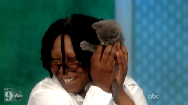 Catsparella: Whoopi Goldberg Adopts Verrazano Bridge Kitten