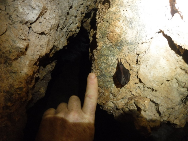 Stevie Haston: Mistra Rocks Labyrinth, by Stevie Haston.