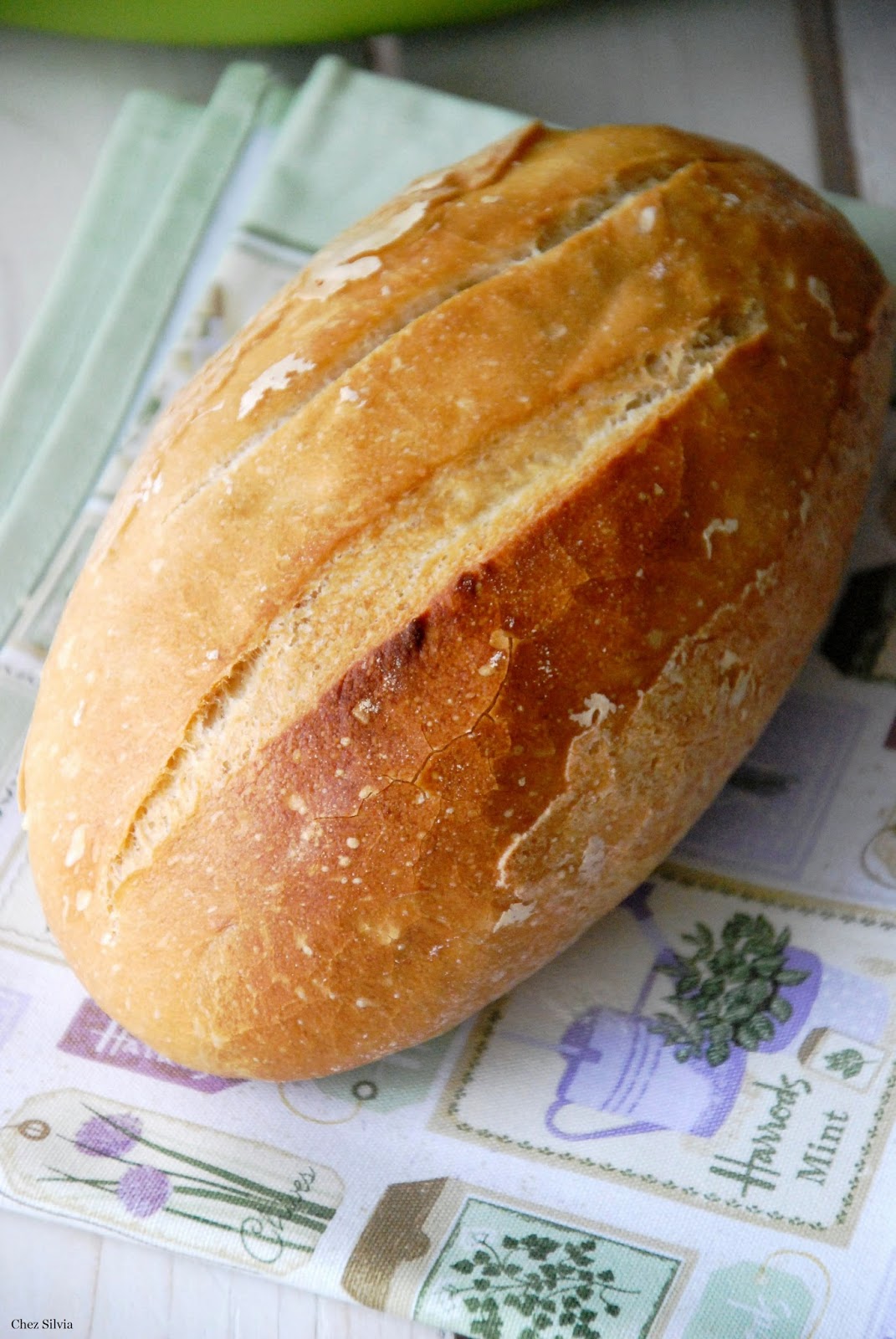 Pan sencillo con estuche Lékué — Chez Silvia