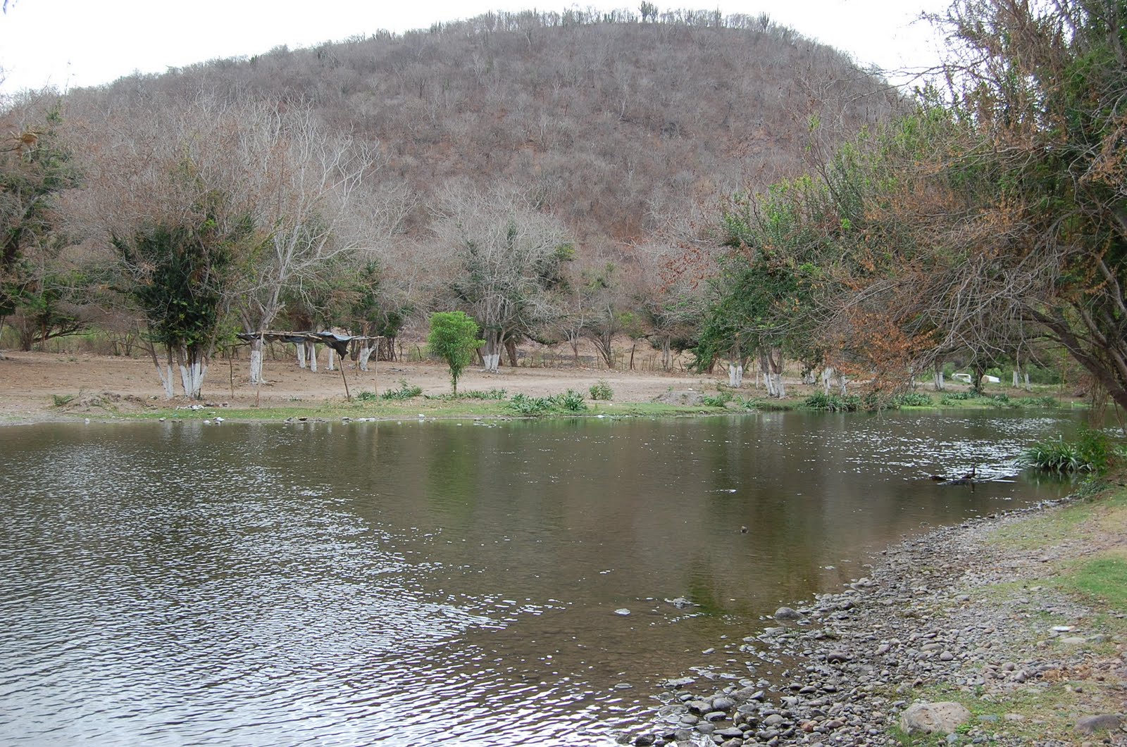 Municipio de Elota Sinaloa.: Elota Pueblo Señorial.