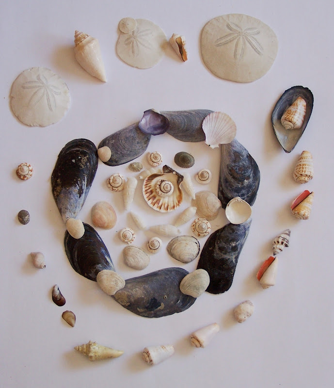 Creative Themes: Beach - sorting shells in artful ways