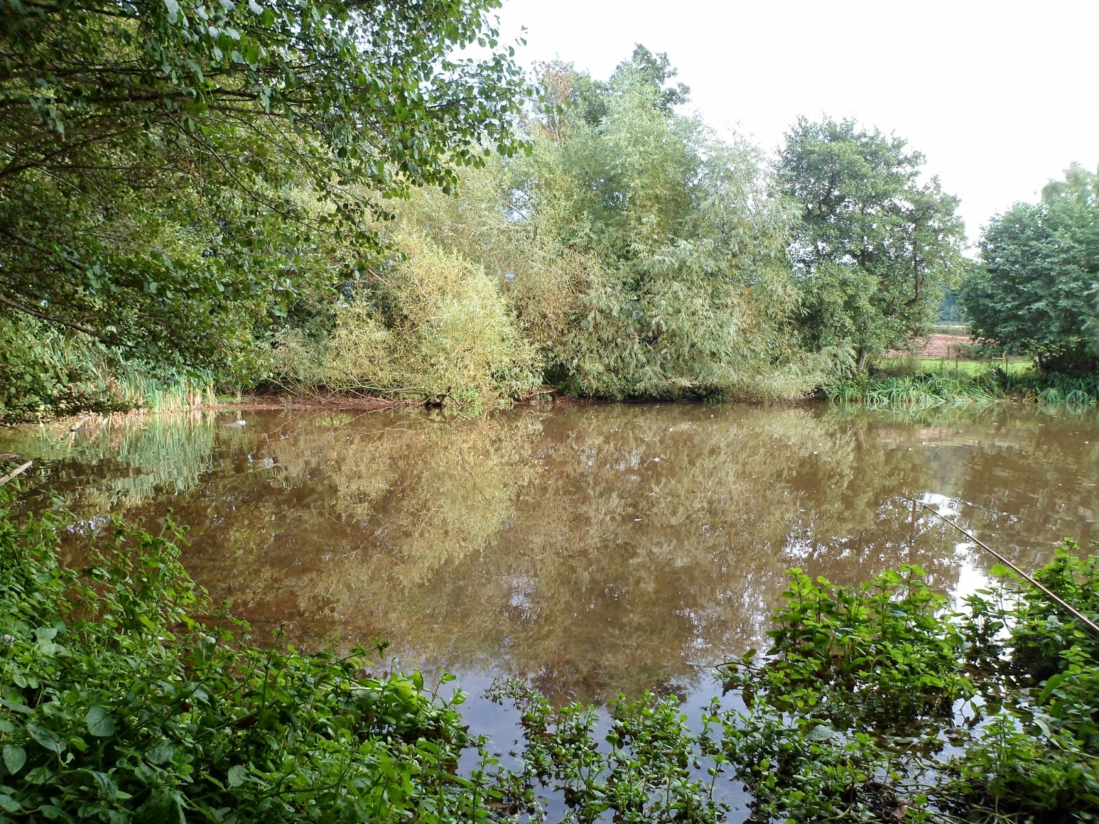 The Intrepid Piscator: Redmire Pool 2013