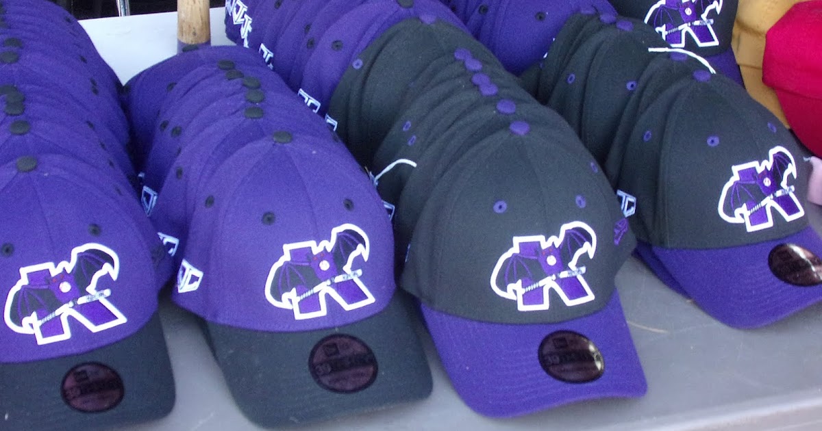 Keene Swamp Bats 2018 Diary