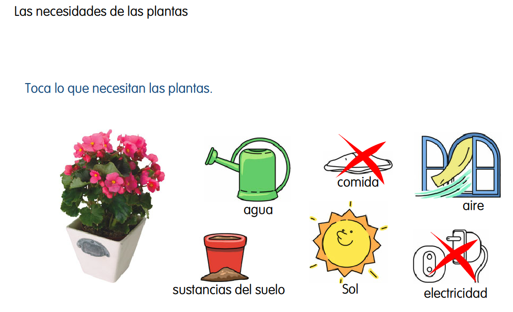 Mi rinconcito de Primaria: Las plantas