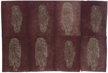 Listamannaspjall Soffíu /Soffia's Artist talk: Uglur og Kiki Smith