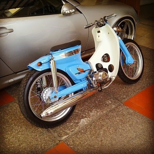 Customland: Cool Cub..