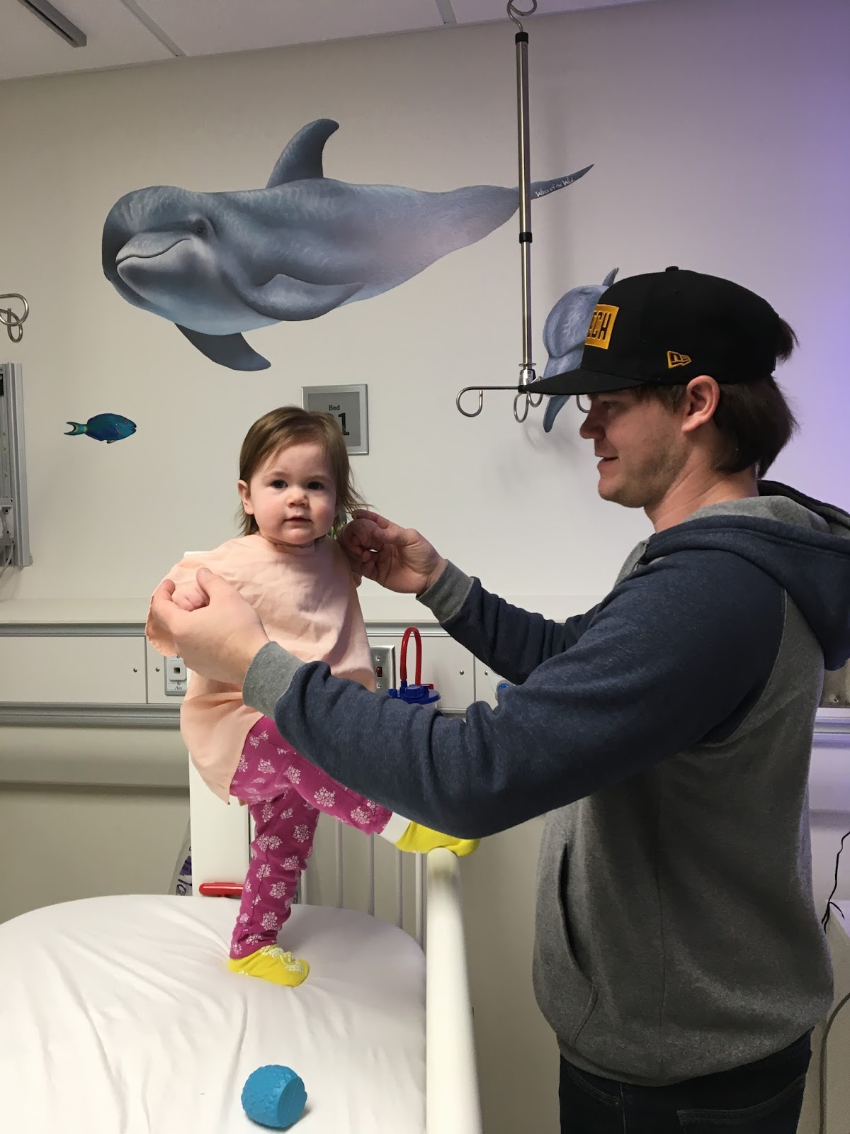 BABY KAUFMAN ADVENTURES