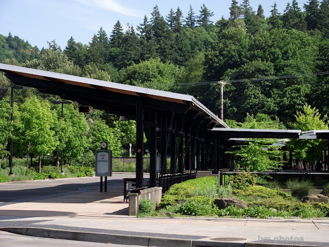 Photos by Jan: Murals of Springfield Oregon and the local bus station.