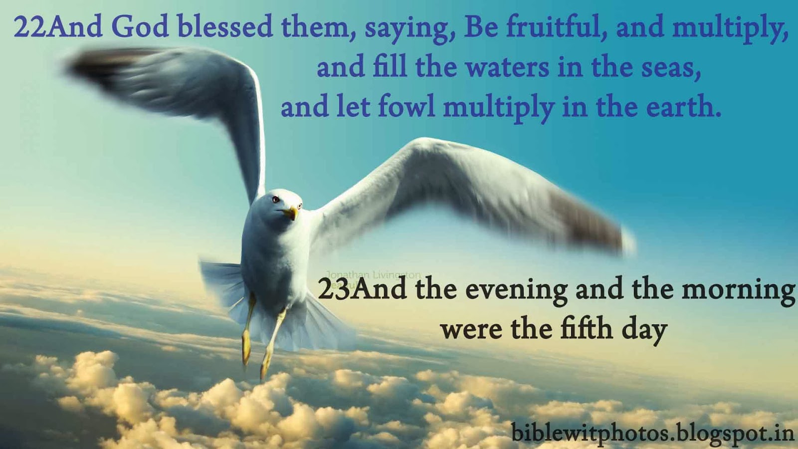 BIBLE SCHOOL : GENESIS 1 : 22 , 23