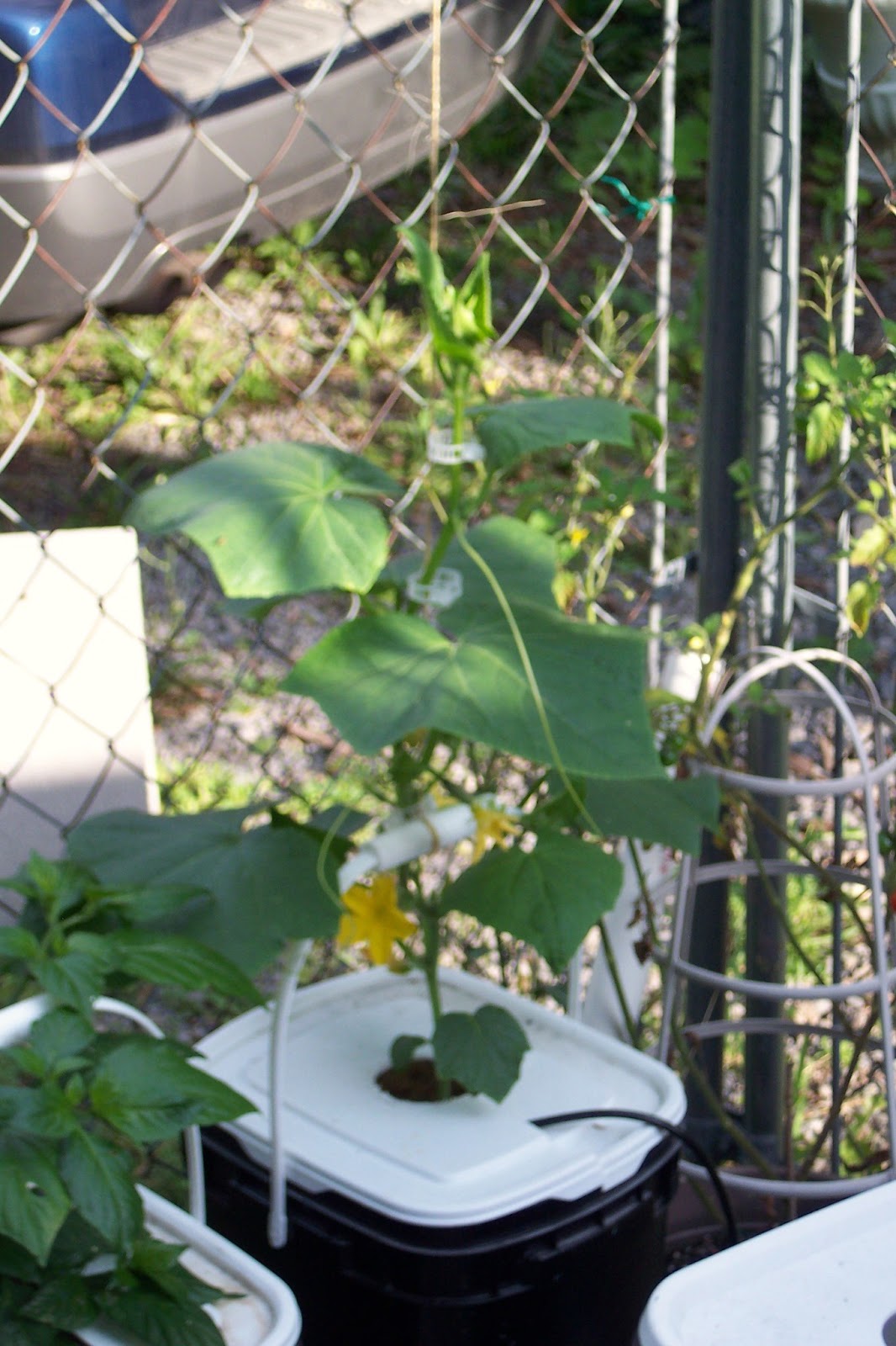 Almost Heaven Hydroponics