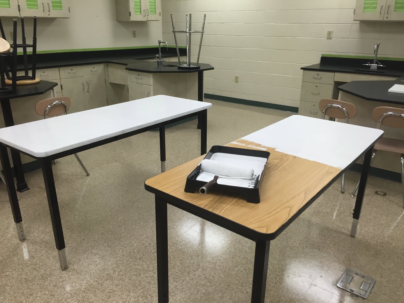 Sunshine State Science: $10 Dry Erase Tables