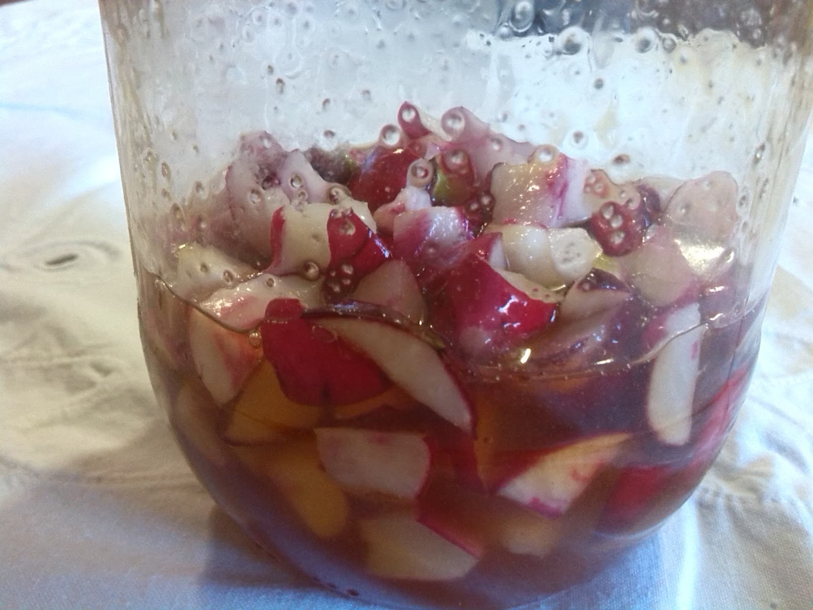 Jarabe de Rábanos y Miel para la Tos... tan antiguo como las abejas ...