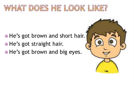 YEAR 3: PHYSICAL DESCRIPTION