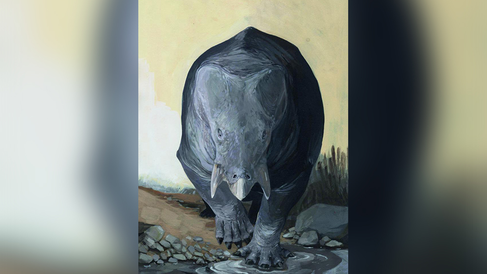 Dig Deeper: ARCHAEOLOGY: Pre-Flood Find of Synapsid