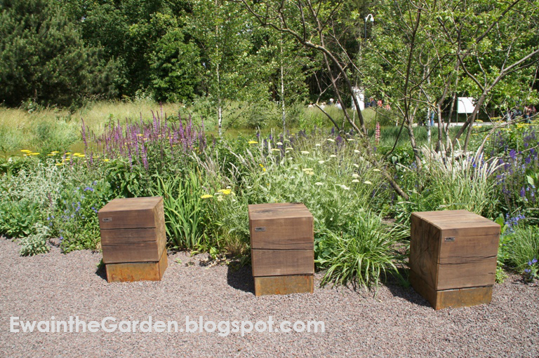Ewa in the Garden: 9 photos of easy Prairie Garden