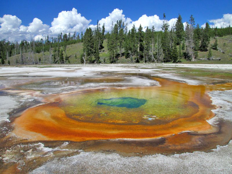 Kasia Polkowska Art: Yellowstone - Chromatic Spring Mosaic
