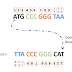 Shad Arf: How to make reverse complement of a DNA sequence