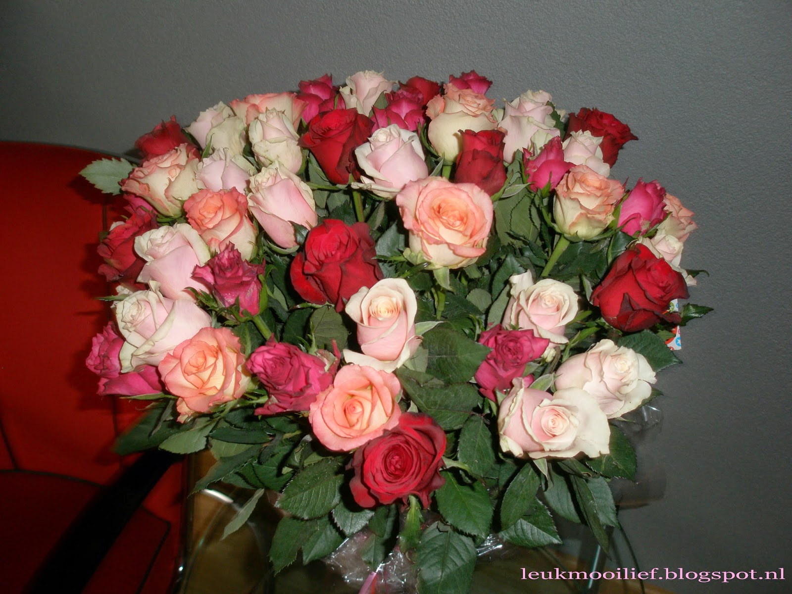 Leuk Mooi Lief: Romantische Rozen