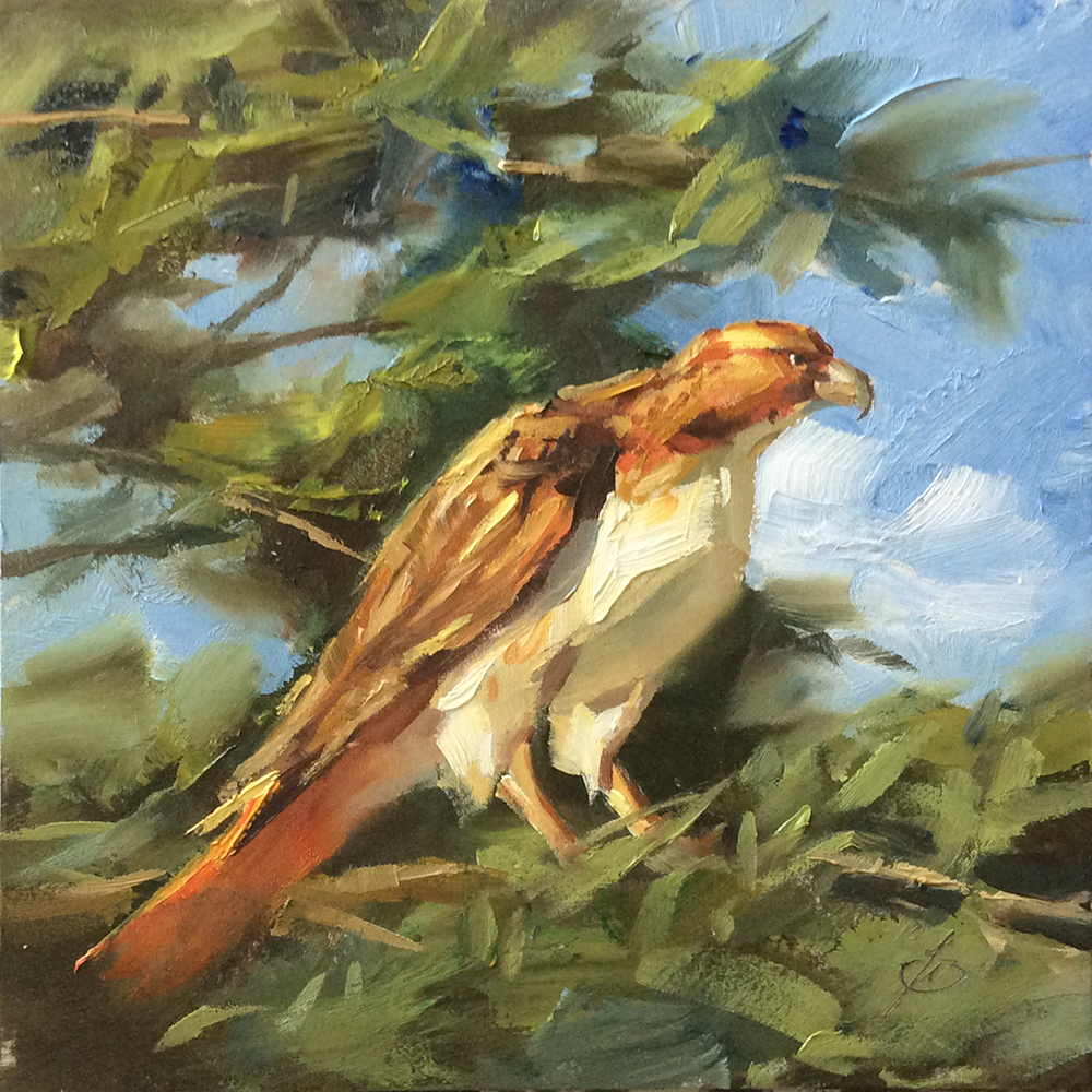 TOM BROWN FINE ART: RED TAIL HAWK, CALIFORNIA IMPRESSIONIST WILDLIFE by ...