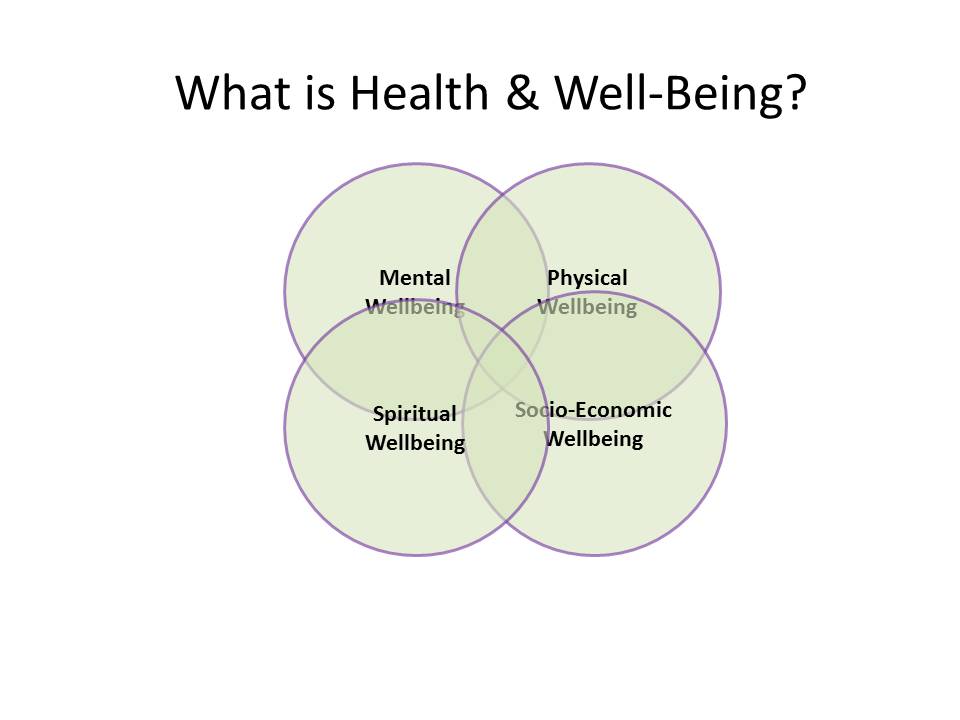 Health Thinking: Constructing Plymouth's Joint Health and Wellbeing ...