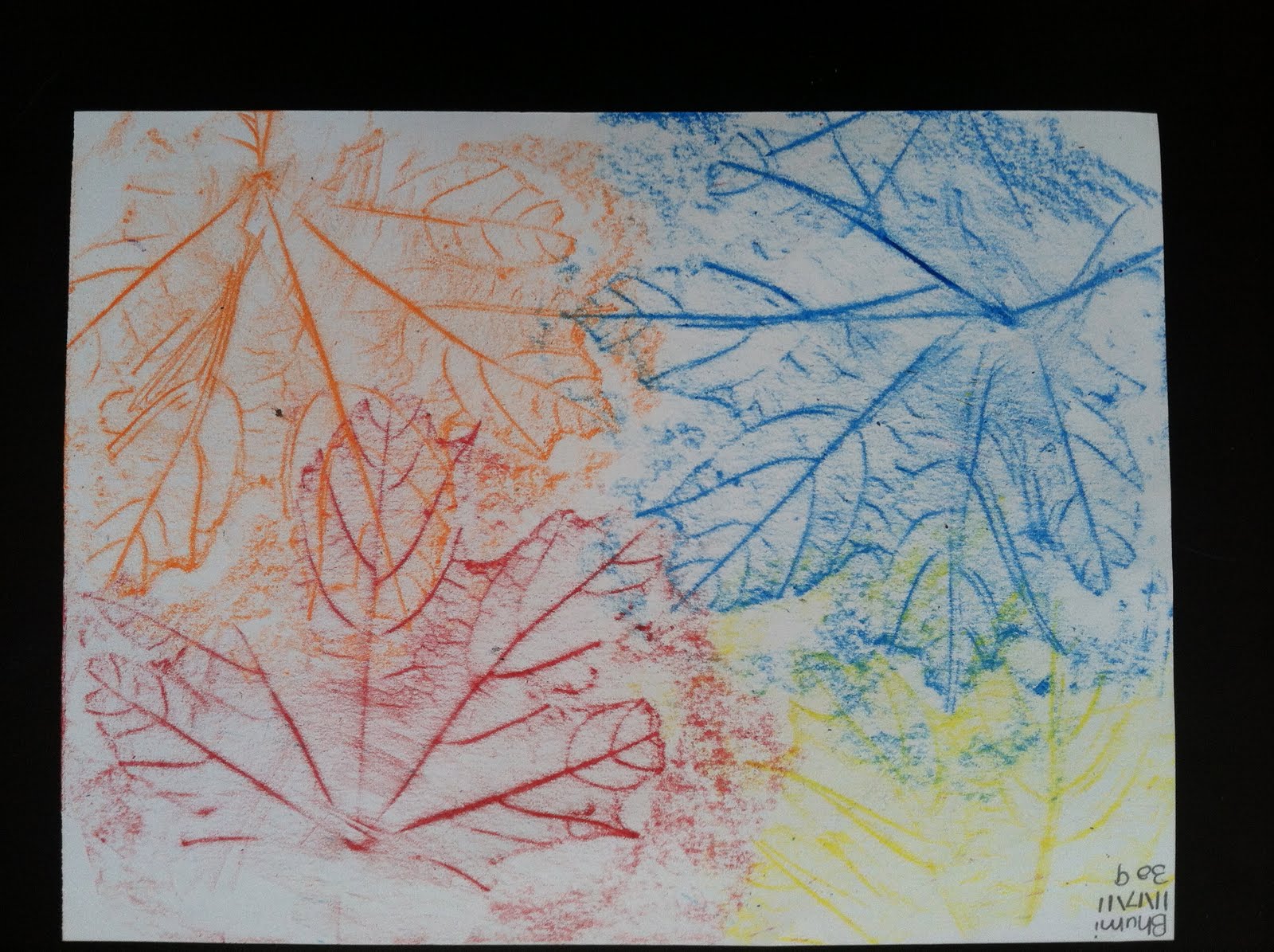 ART at NTA !: Leaf Texture Rubbings