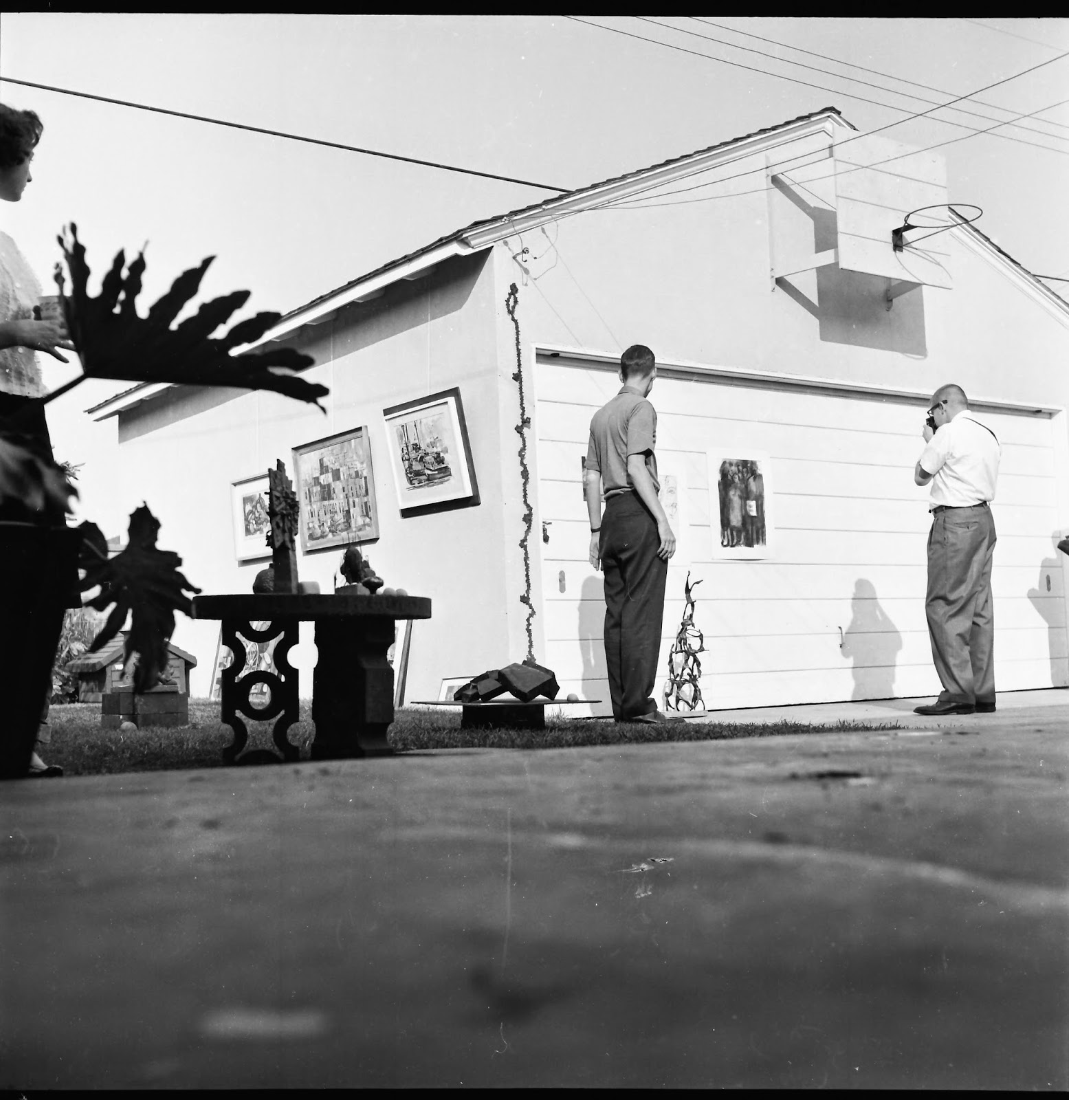 Moss Creek Journal: May 2015