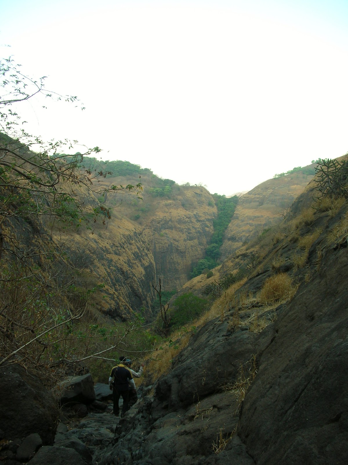 The wandering soul: Plus Valley Tamhini Ghat