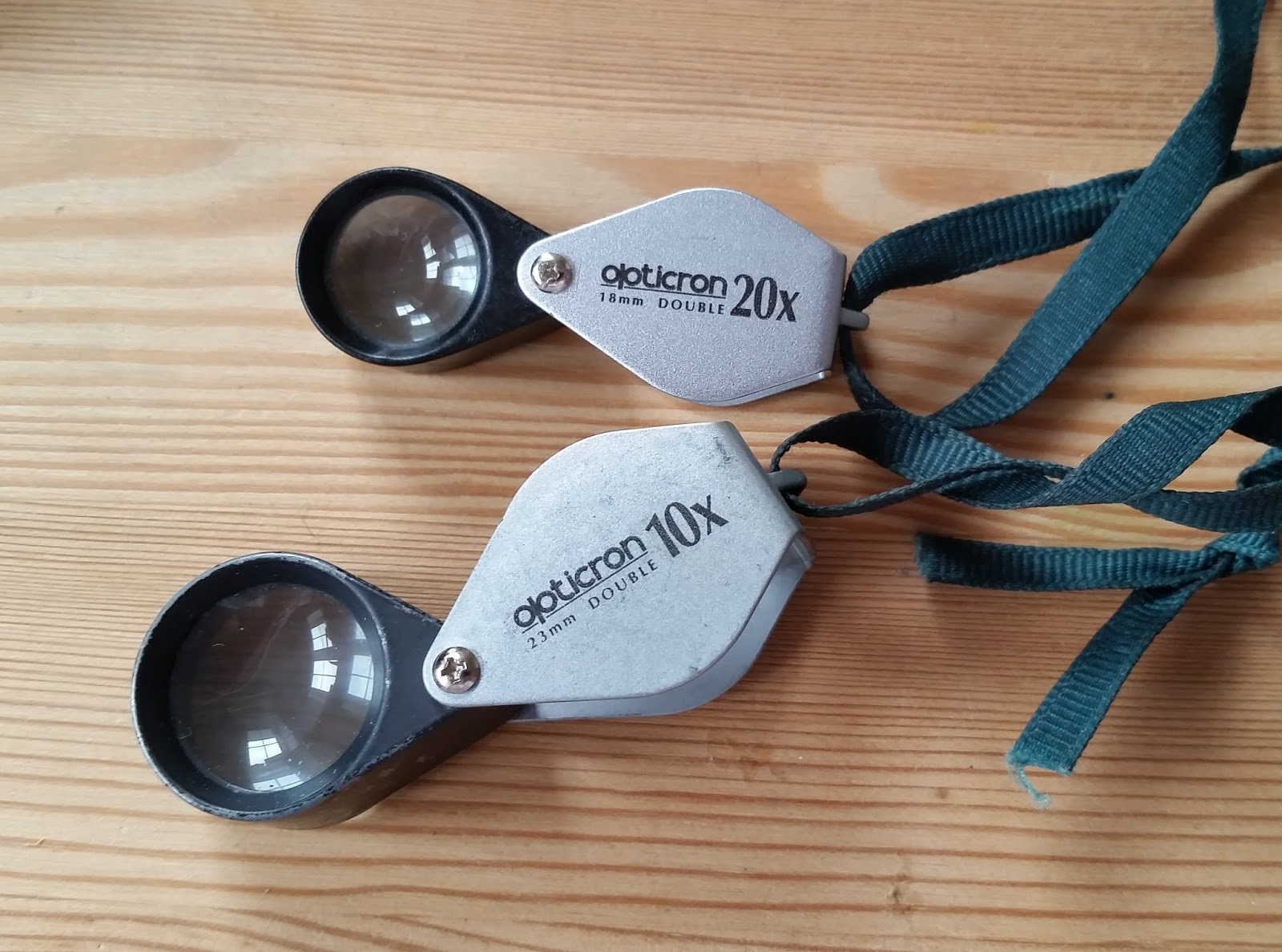 The Natural Year: Project Skills for Botanical Artists (i ...