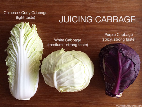 Cabbage - In General