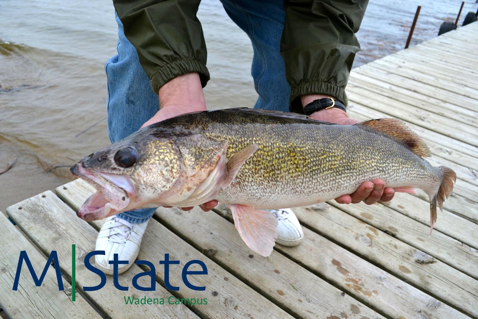 The Outdoor Report: M|State Wadena: Start here, Go Anywhere