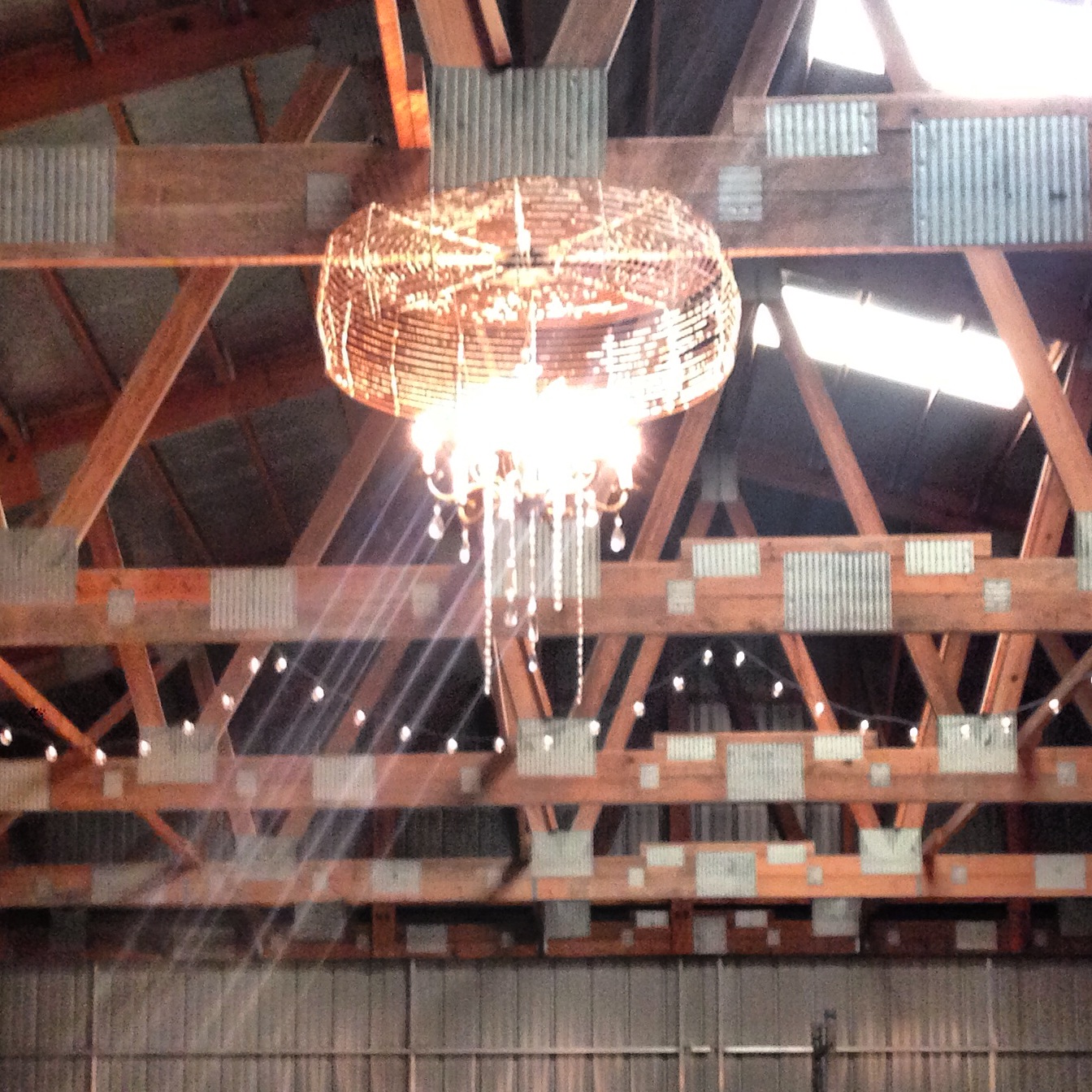 Ella Elaine: The Range