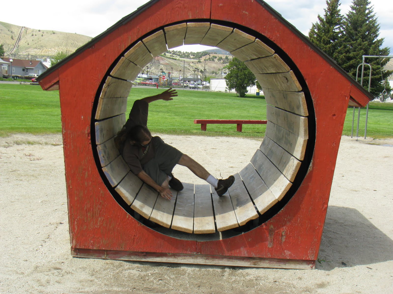 Human Hamster Wheel