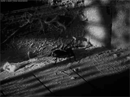 The Treasure Chest: Smear Campaigns