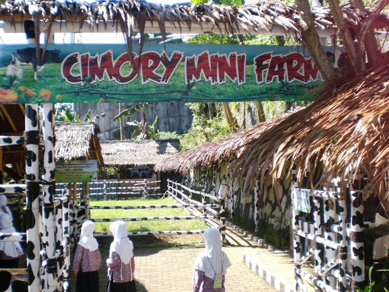 Yoghurt Enak Dan Segar Dari Cimory