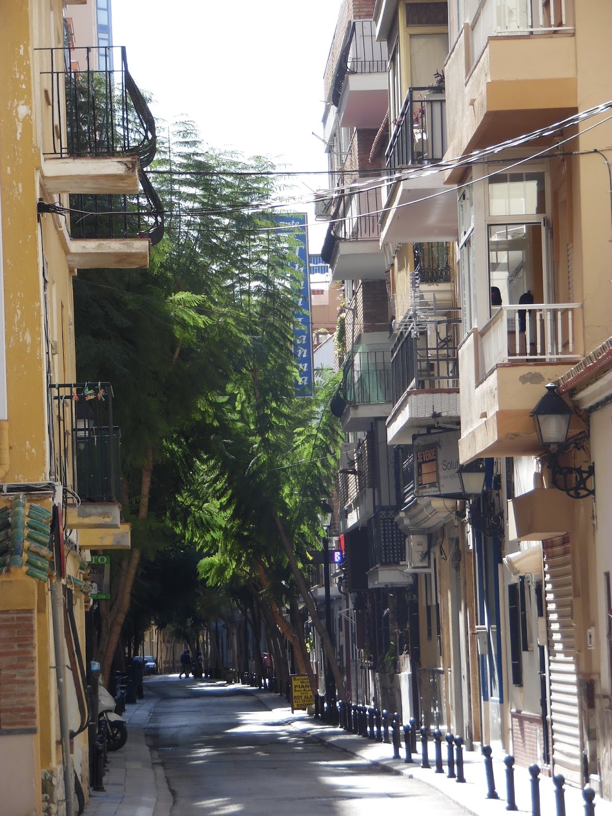 The Amazing Story of Anna Helena