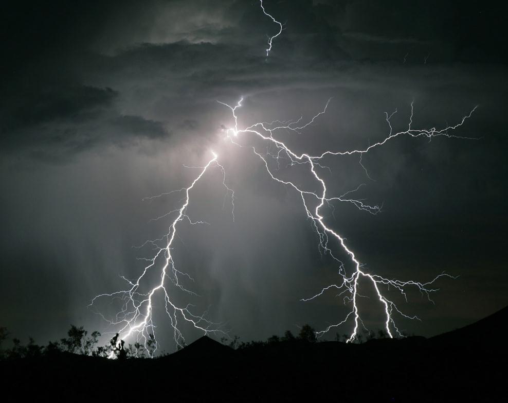 PERROS EN LA PLAYA: noviembre 2012