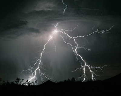 PERROS EN LA PLAYA: sparks