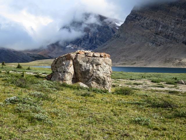 Dollop of Cream: mt. harris trail mix