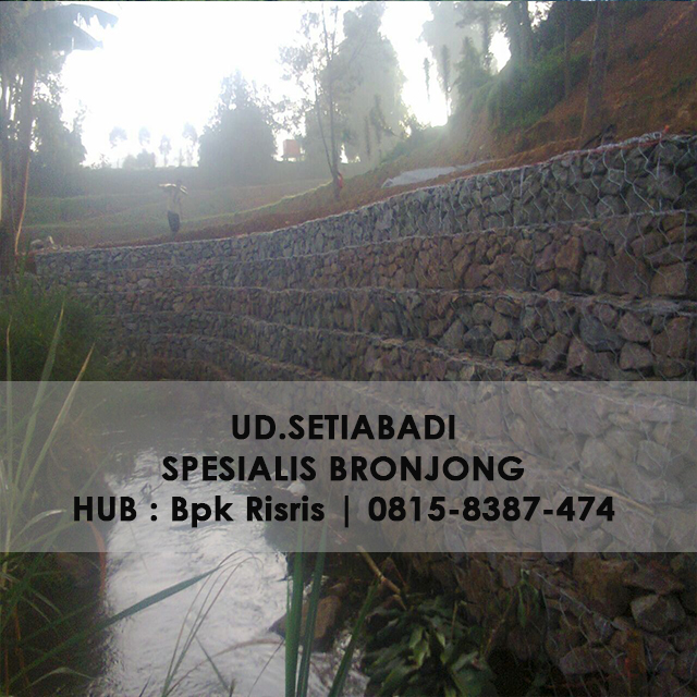 Fungsi & Kegunaan Bronjong ? » Bronjong Setiabadi