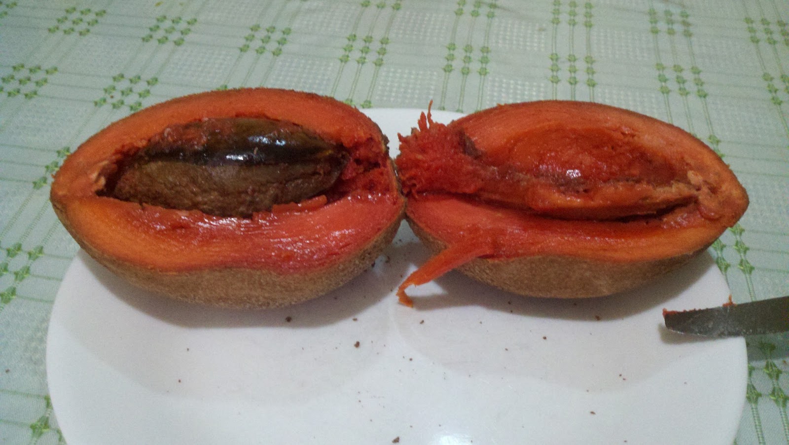 Por favor habla despacio.: Nuevas Frutas...