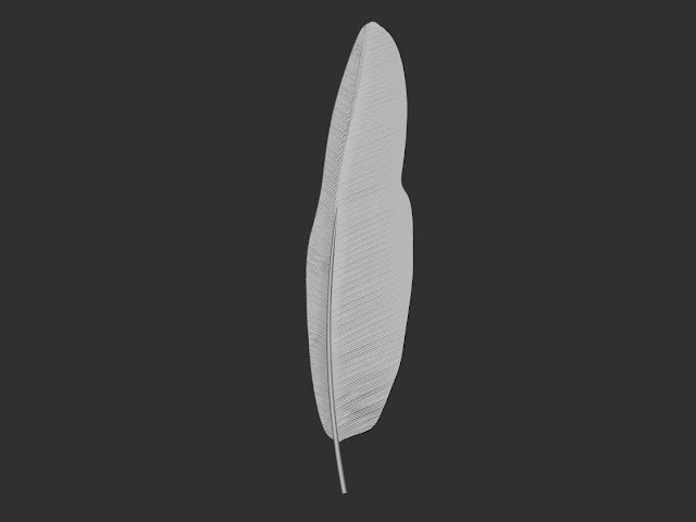 Darya Girina Zbrush Endless Way: Modelling bird feather and wings ...