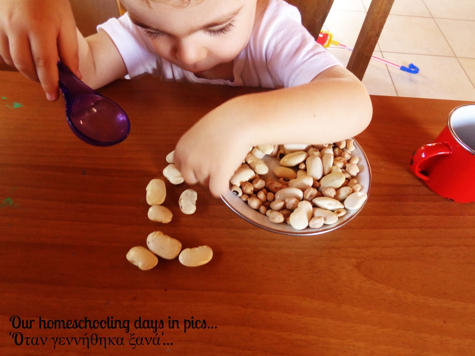Όταν γεννήθηκα ξανά...: Ηomeschooling....