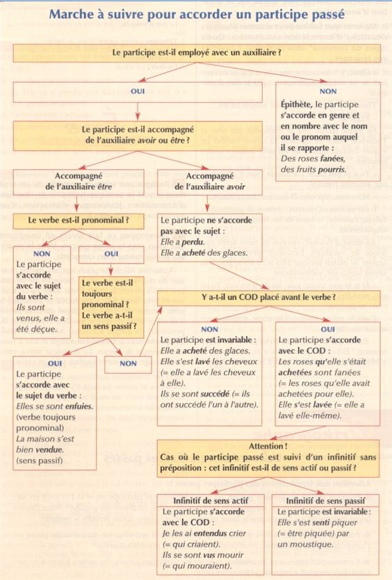 LOÏC EOI CARTAGENA: LES ACCORDS DU PARTICIPE PASSÉ