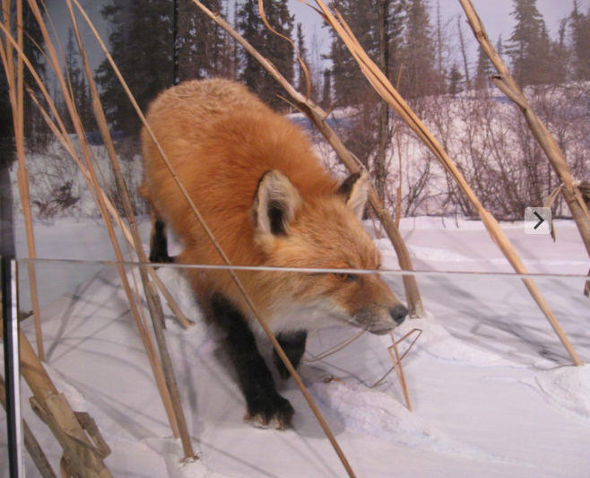 Life after 60: Yellowknife tourist..