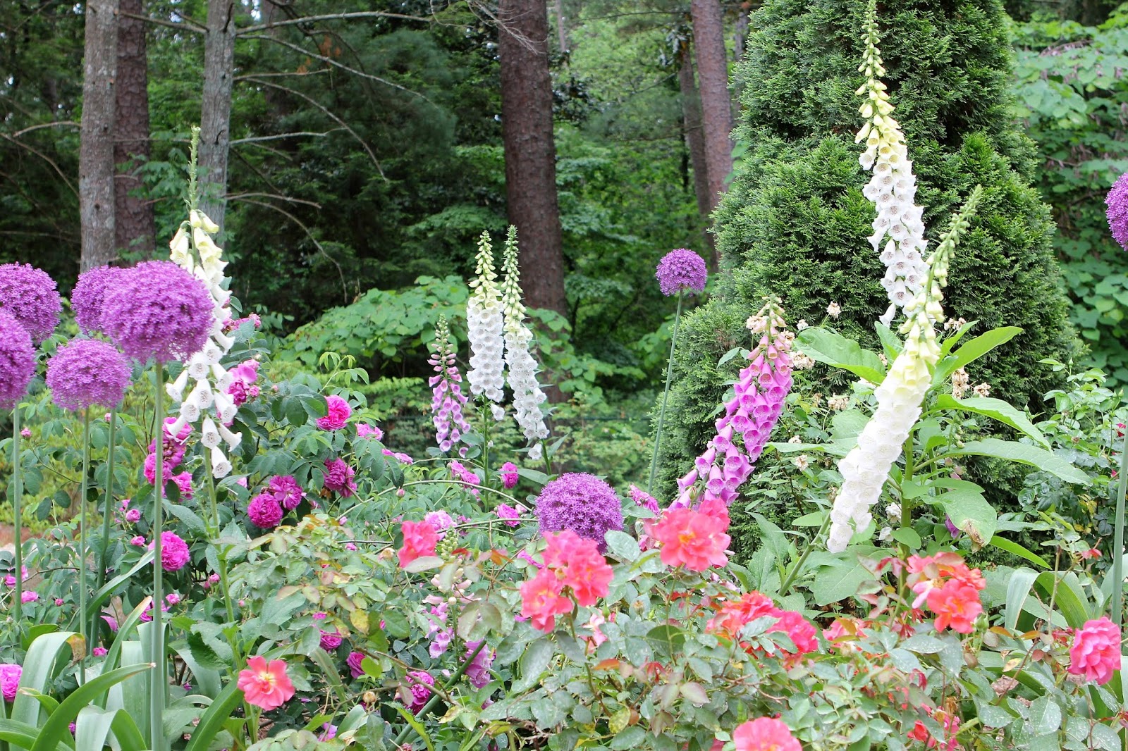 Romancing the Home: Sarah Duke Gardens on the Duke University Campus