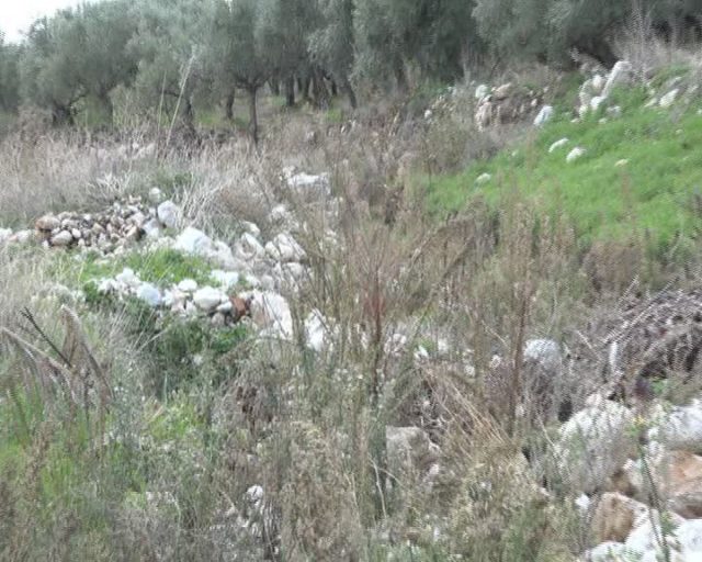 ΧΕΙΜΜΑΡΟΣ ΑΠΟ ΤΗΝ ΜΑΝΗ..ΑΠΕΙΛΕΙ ΤΗΝ ΚΑΛΑΜΑΤΑ! - kalamatanews.gr ...
